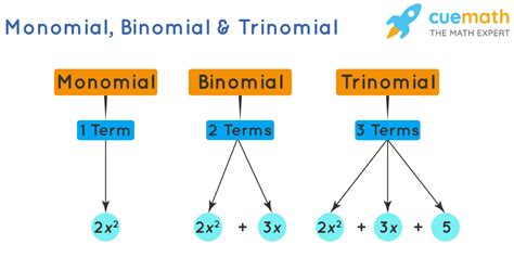 Monomial Meaning Definition And Examples Of Monomials