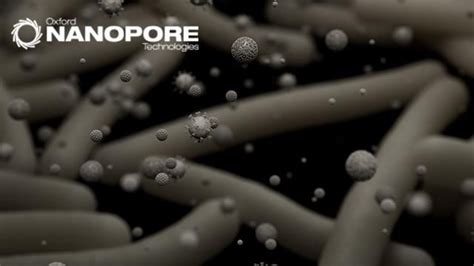 Enhanced Microbial Profiling And Metagenomics With Nanopore Sequencing