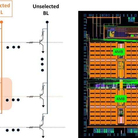 On The Left The Bjt Selected Array Is Organized By Wls Connecting The
