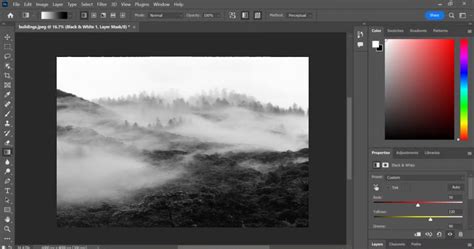 How To Convert An Image To Black And White In Photoshop A Step By Step