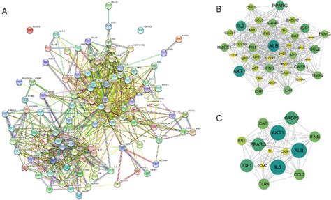 Ppi Network Of The Overlapping Target Proteins A Ppi Network Of The