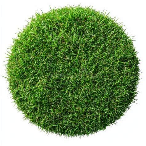 Patch Of Fresh Green Lawn Grass Circle Land Ground Floor Garden And Green Grass Floor Circle