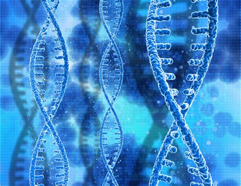 Custom Ngs Assays Gt Molecular