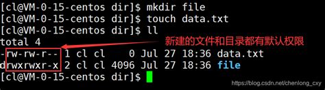 Shell的运行原理以及linux当中的权限问题shell 执行robot会涉及权限吗 Csdn博客