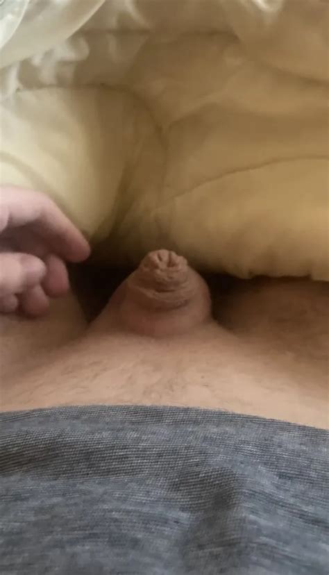 Smallest Ever 6 Nude Pics XHamster