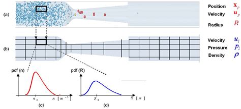 Illustration Of The Eulerian Lagrangian Approach In Cavitating Flows