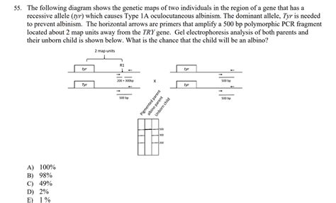 Solved The Following Diagram Shows The Genetic Maps Of Two