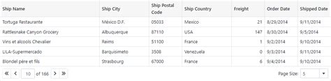 grid blazor devexpress documentation