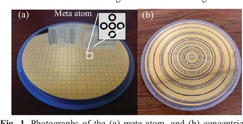 Figure 1 From Realizing Sub Diffraction Focusing For Terahertz