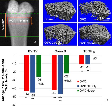 the morphological trabecular parameters in the distal metaphyseal femur