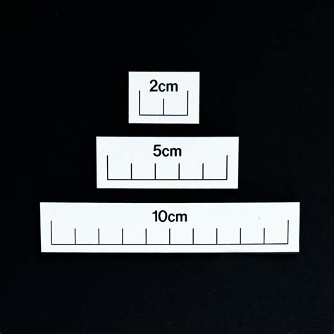 Professional Grade Photo Scales Set Of 3 Past Horizons