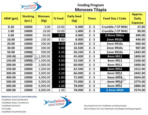 Tilapia Feeding Chart At Tyler Mckinley Blog