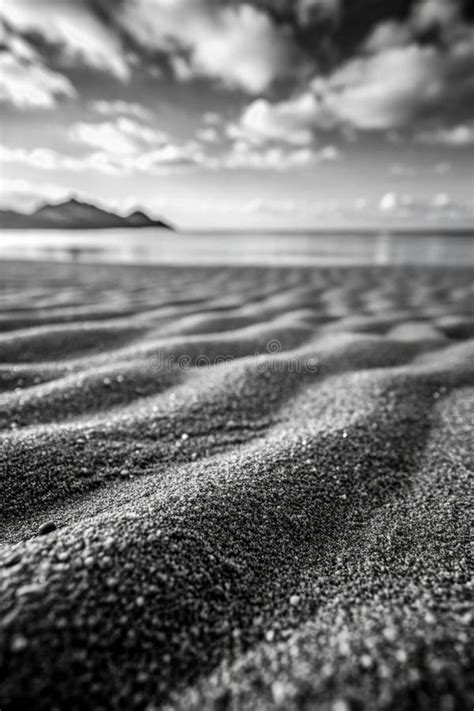 Black And White Sand Beach Macro Photography Stock Illustration