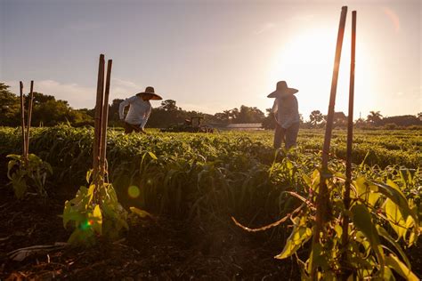 Meet Karla Dascal Chief Love Officer Shoutout Miami