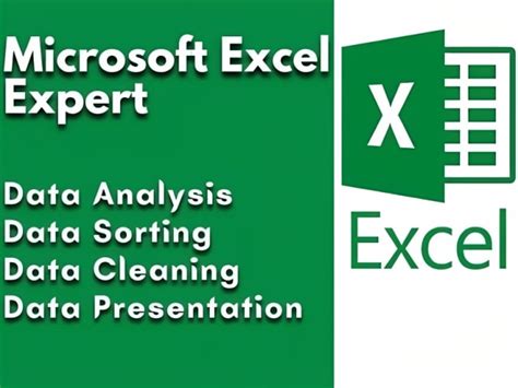 do data cleaning editing sorting or separate excel by kakashihatak951