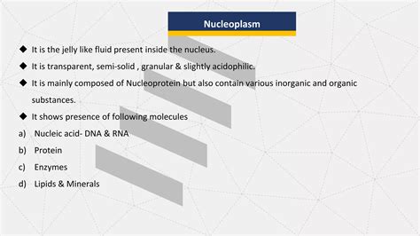 Nucleus And Its Structurepptx