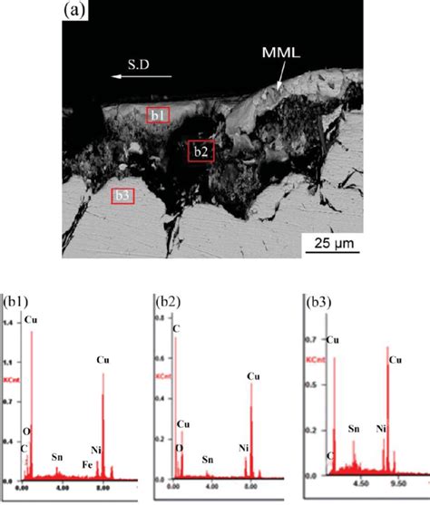 Typical Cross Section Morphology Of The Worn Surface And Subsurface Of