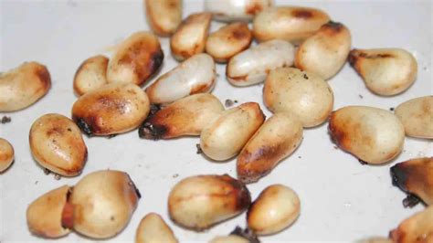 Jangan Dibuang Biji Nangka Ternyata Bisa Menurunkan Kolesterol Jahat Citizen6