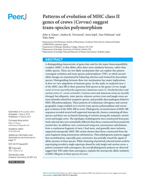 Pdf Patterns Of Evolution Of Mhc Class Ii Genes Of Crows Corvus Suggest Trans Species