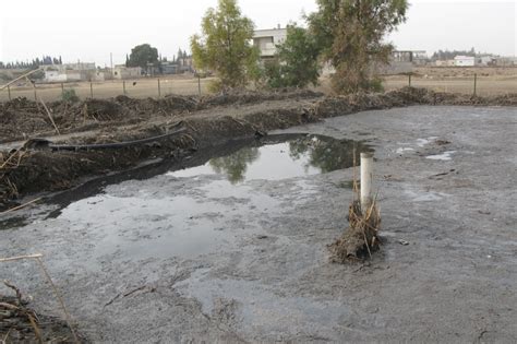 Primary Sludge Isaacs Science Blog