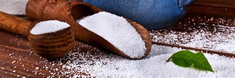 Sucralose vs Stevia – 1st Phorm