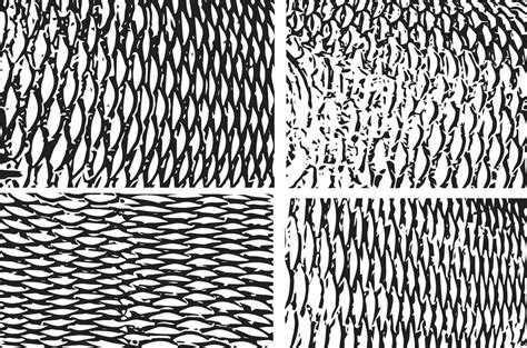 Four Different Types Of Fish Fish Scales Vector Vintage Grunge Effect For Design Extra Effect