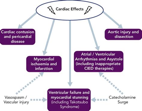 Cardiac Effects Of Lightning Strikes Pmc