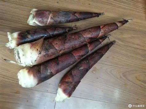 全国有多少种“笋”？哪个品种最好吃？今天全读懂，来，涨知识了 蔬菜 什么值得买