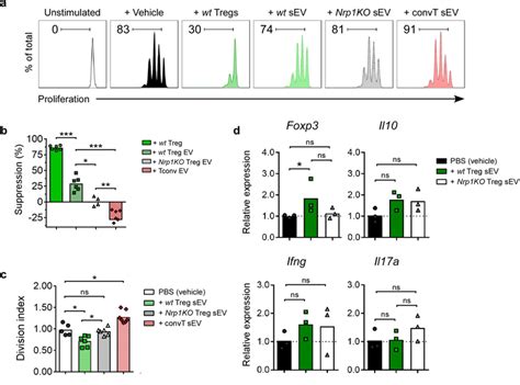 Sev From Nrp1 Treg Cells Modulate Convt Cells Phenotype In Vitro Download Scientific Diagram