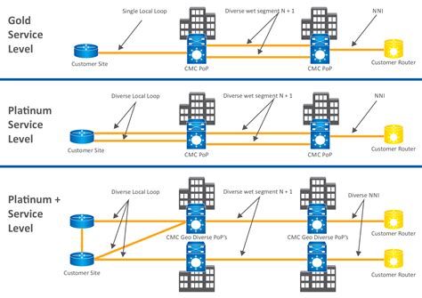 International Termination And Local Loop Path Diversity Cmc Network