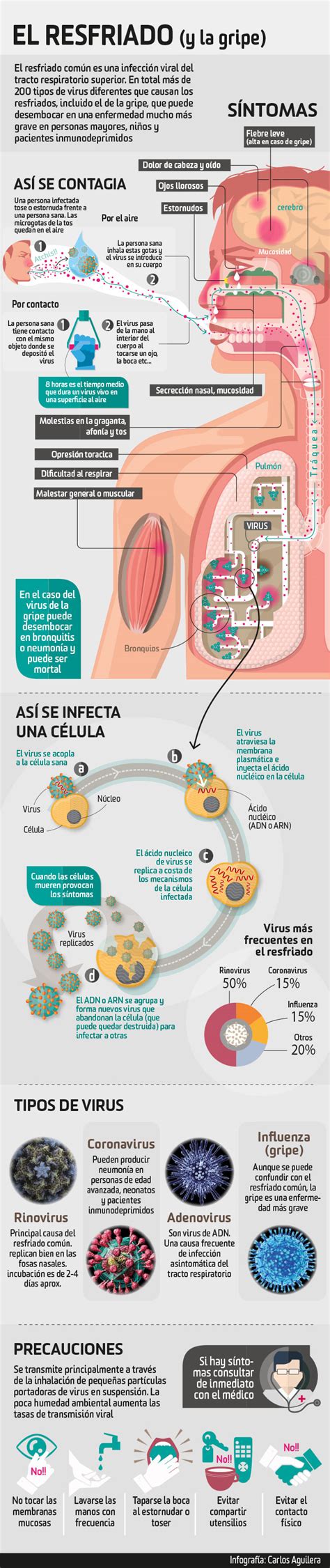 Diagrama De Resfriado Comun