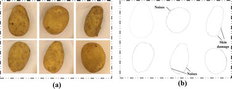 Edge Extraction Of Potato Image After Preprocessing A Photos Before Download Scientific