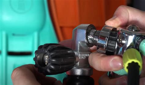 Top 10 Things That Bug Divers