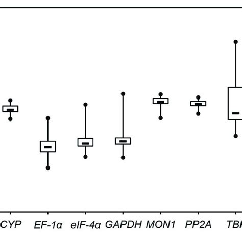 Confirmation Of Primer Specificity And Amplicon Size A Melting Curve Download Scientific
