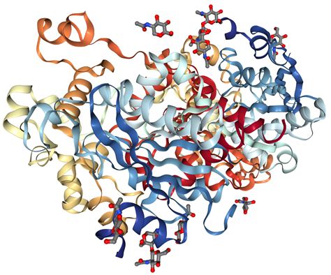 Lipf Protein Overview Sino Biological