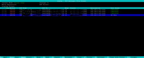 Roberto Lucchetti Using Sngrep