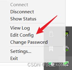 手把手教你搭建OpenVPN保姆级教程 Young s blog