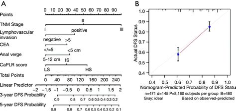 a nomogram and calibration curve for predicting dfs in crc patients