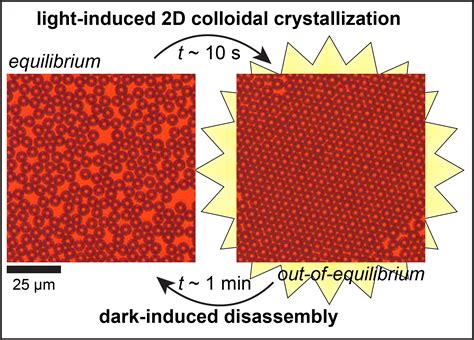 Our New Paper Photoswitchable Dissipative Two‐dimensional Colloidal