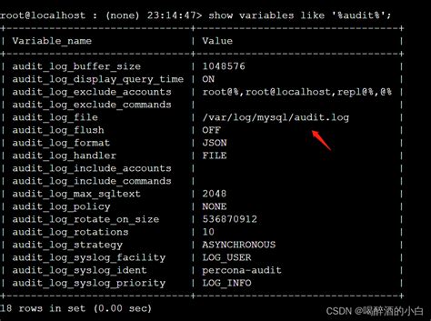 mysql审计日志 and 慢日志 and 错误日志 mysql 审计日志 csdn博客