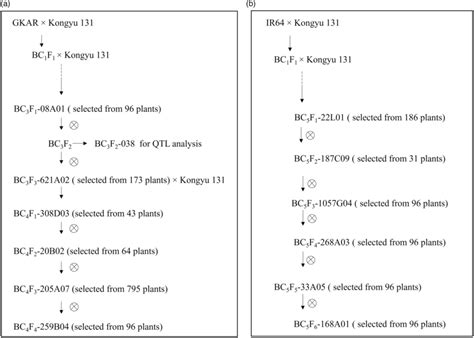 Development Procedure Of Qtl Mapping Populations And Single Segment