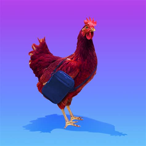 Chikn 1778