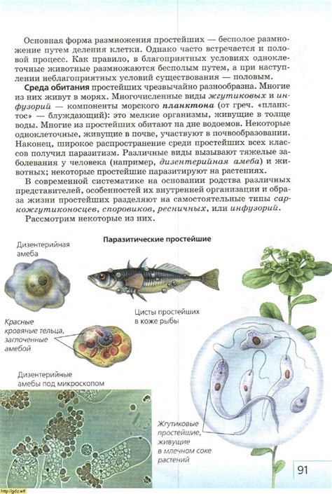 Биология за 7-ой класс - В.Б. Захаров, Н.И. Сонин. Биология ...