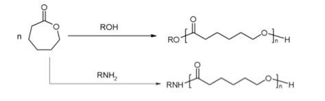 Caprolactone Monomer A Gateway For Advanced Performance Intermediates