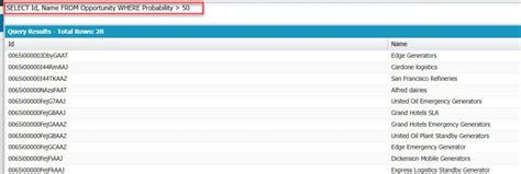 How To Avoid Soql Injection In Salesforce