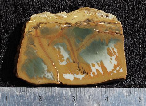 Owyhee Jasper Slab 0042 Dd Rocks