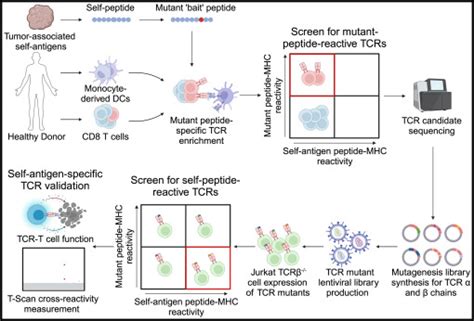 T Switch Ing Tcr Specificity Immunity