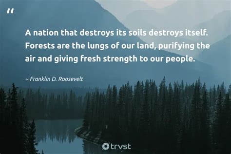 43 Tree Planting Quotes To Inspire You To Grow A Forest