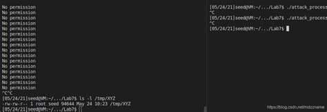信息安全 seed lab7 race condition vulnerability lab seed race condition