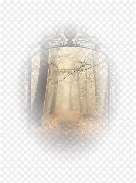 林间美景png图片素材下载图片编号9013252 Png素材网